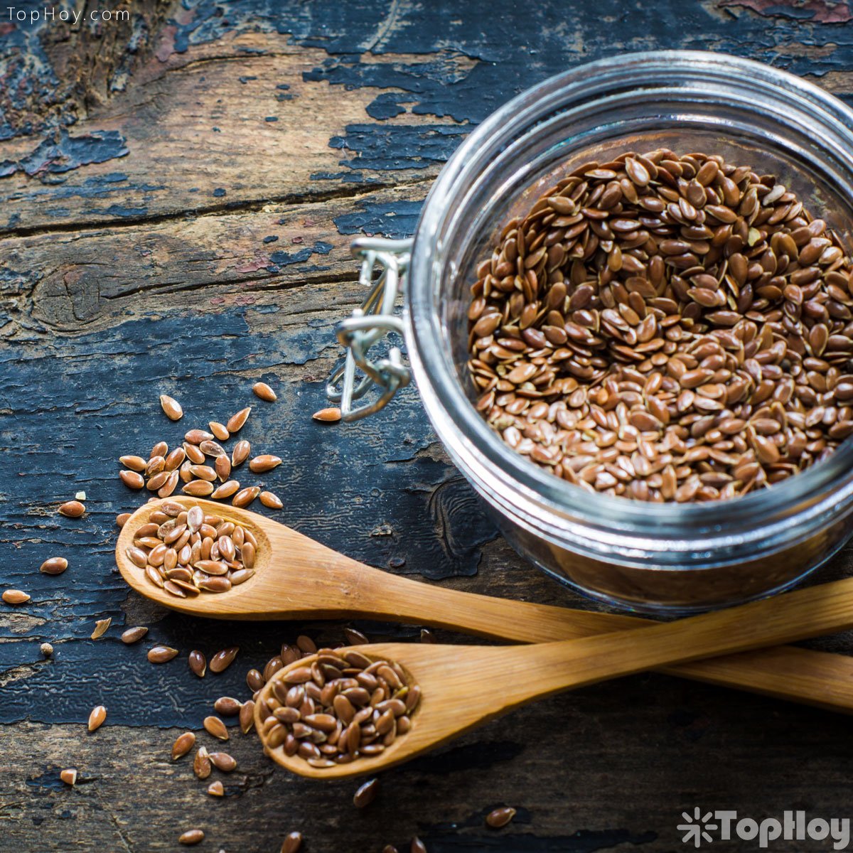 semillas de lino - TopHoy