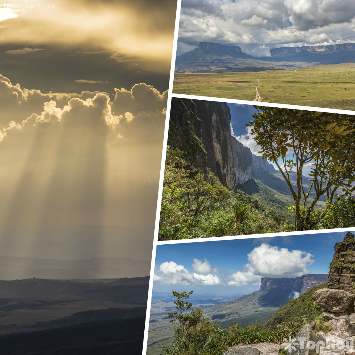 venezuela-collage - TopHoy